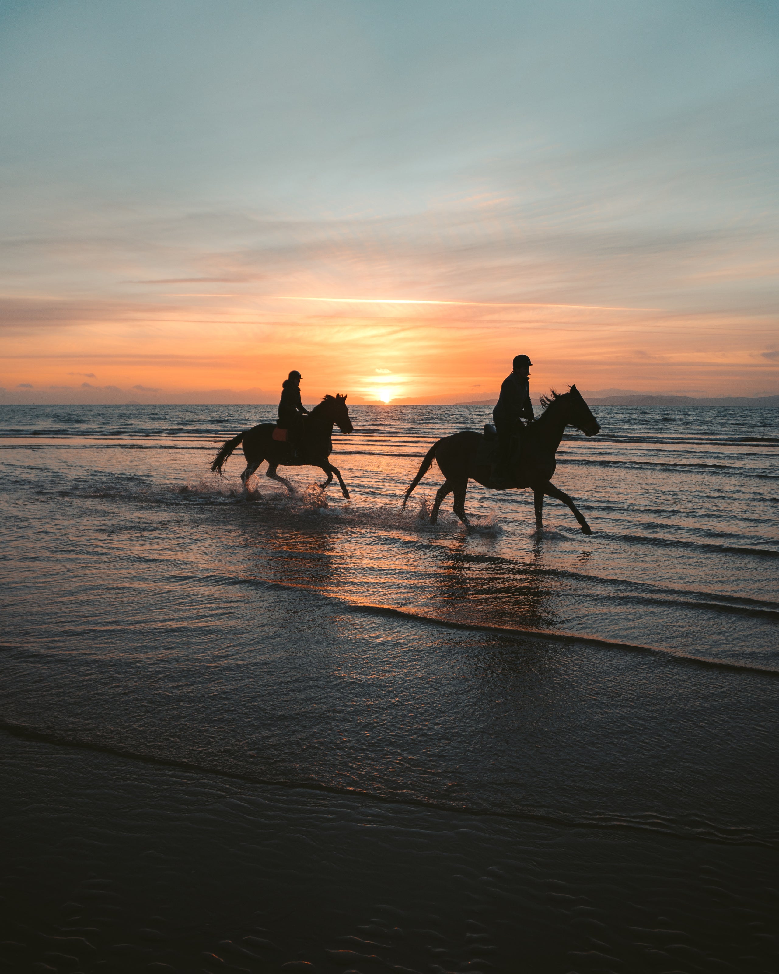 www.horse-fever.eu – Horse Fever
